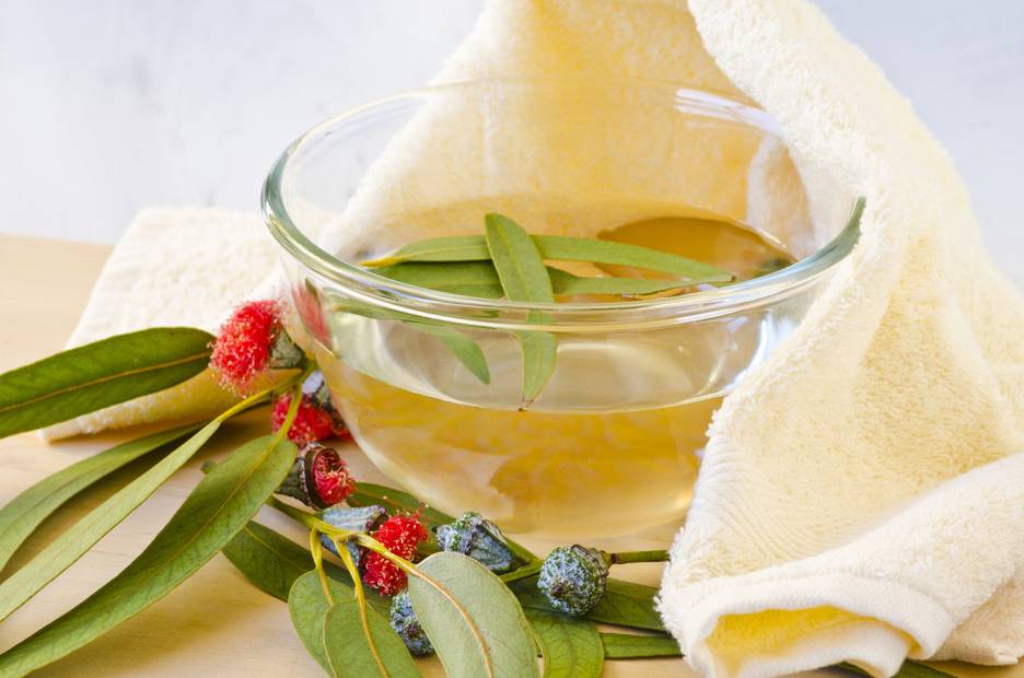 Preventing and Treating Sinusitis | Taste For Life