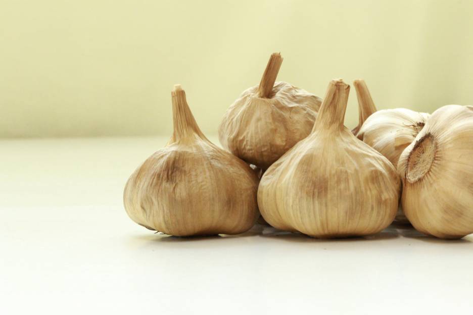 Aged Garlic Extract | Taste For Life