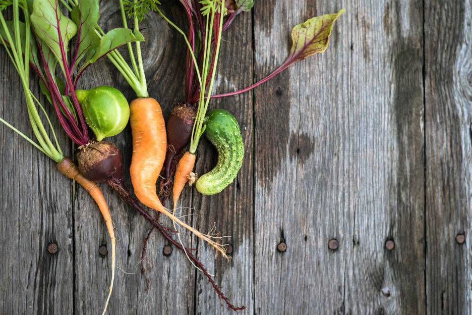 Finding the Beauty in Ugly Produce | Taste For Life