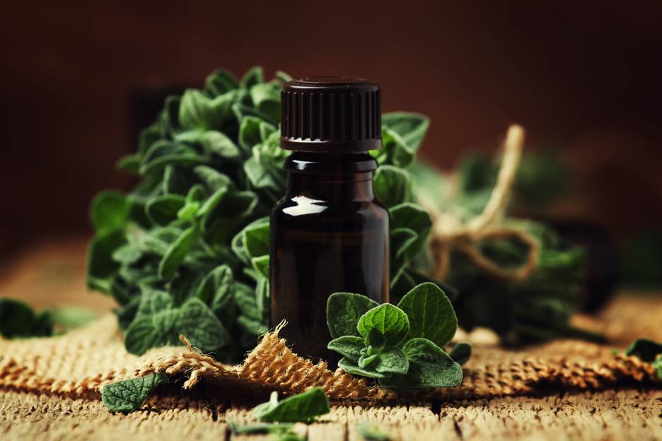 5 Reasons You Need Oregano | Taste For Life