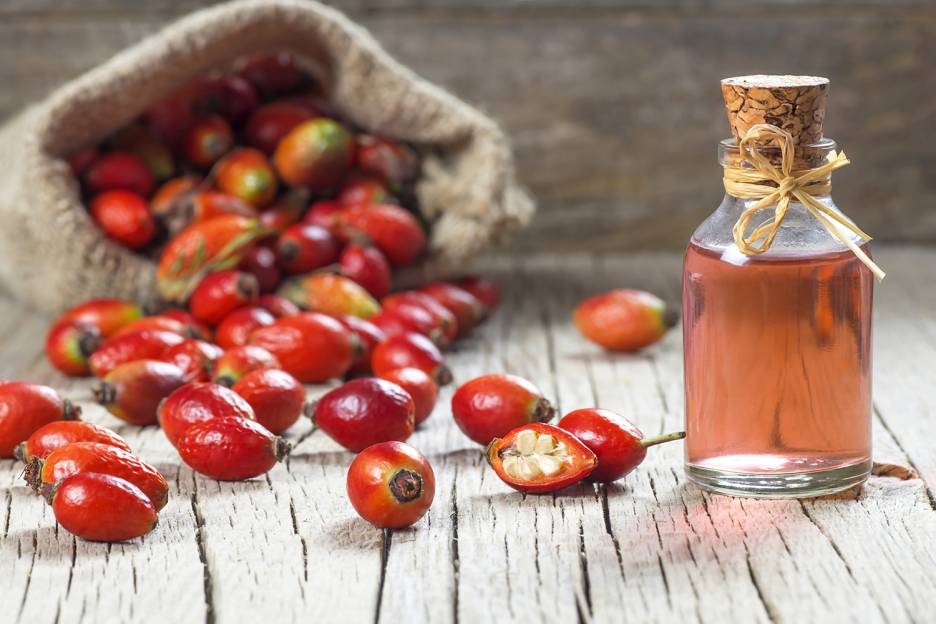 Benefits of Rosehip | Taste For Life