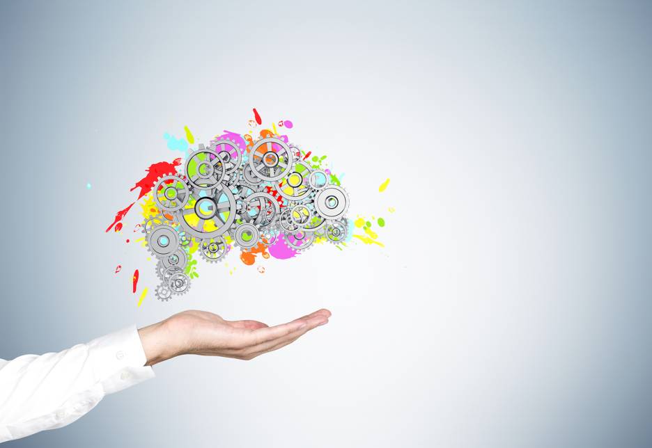 Supplements for Brain Support | Taste For Life