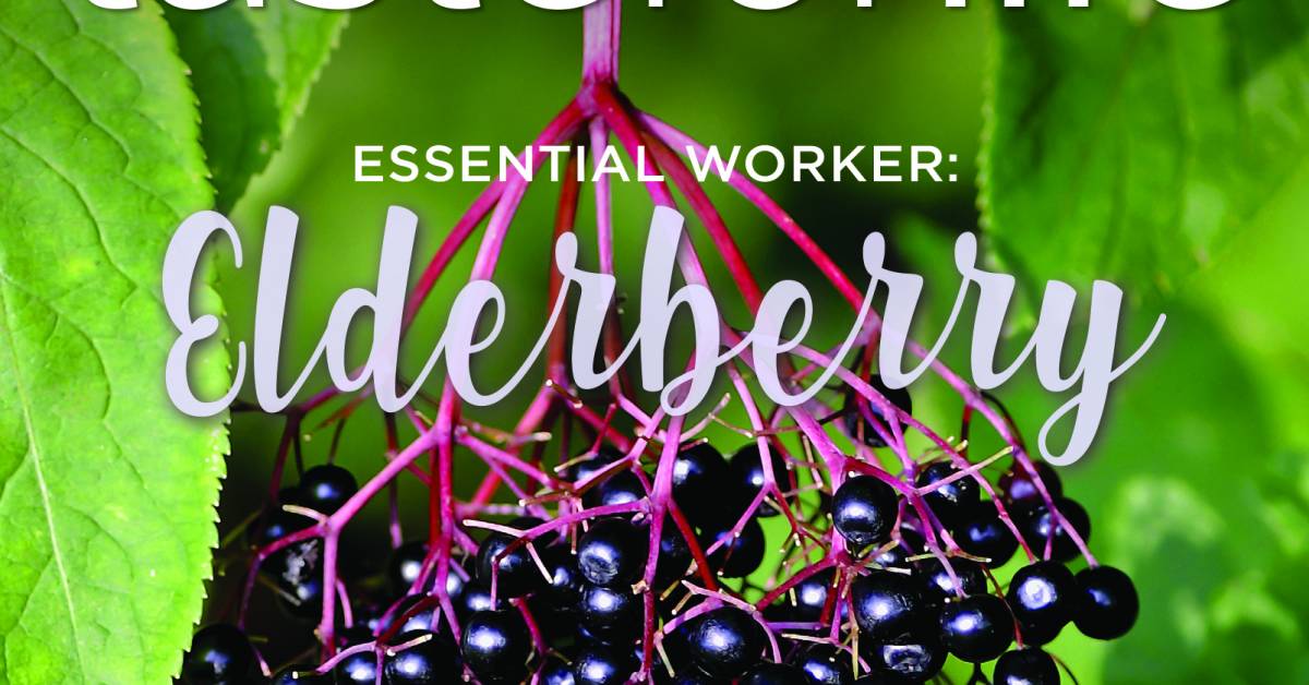 Taste for Life - Oct 2021 | Taste For Life