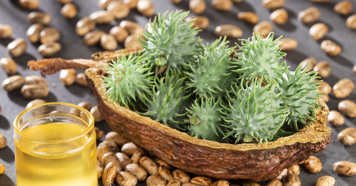 How to Use Castor Oil Packs | Taste For Life