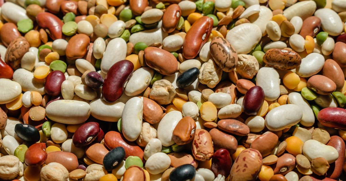The Benefits of Beans | Taste For Life