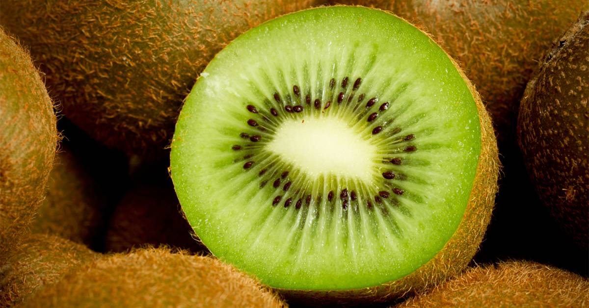 kiwi fruit