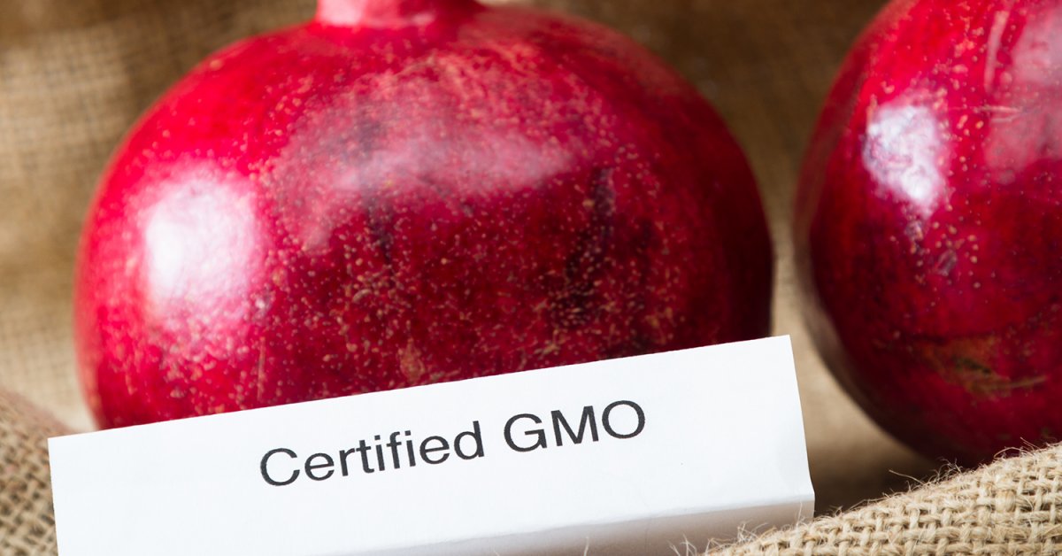 GMO Game Changer? | Taste For Life