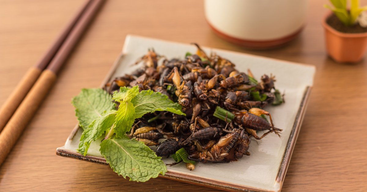 Boy Eats Bug | Taste For Life