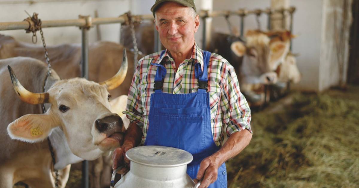 Think Globally, Eat Locally | Taste For Life