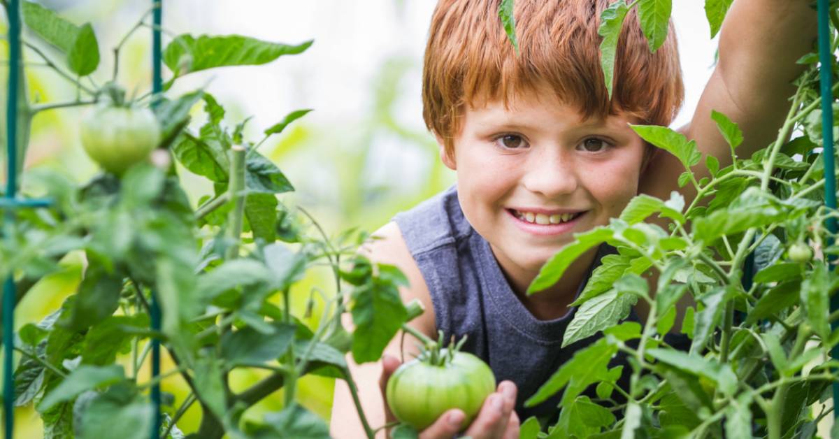 How to Identify Non-GMO Food | Taste For Life