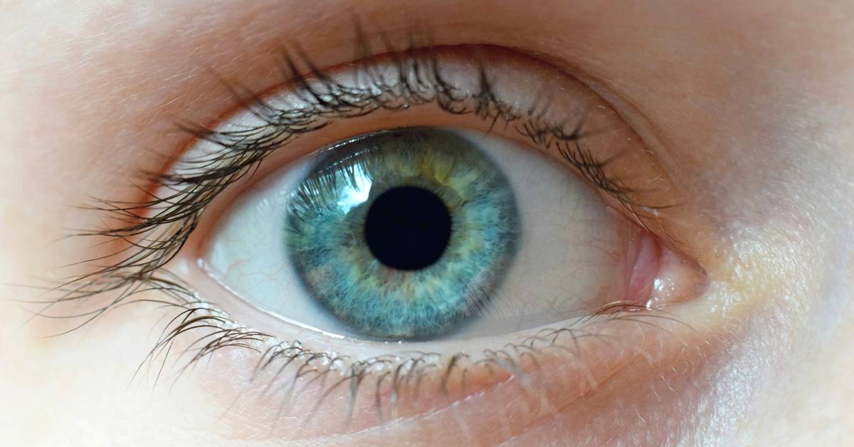 Supplements for Eye Health | Taste For Life