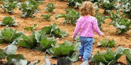 Feeding Fast Kids, Slow Food | Taste For Life