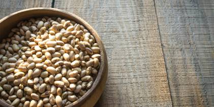 Roasted Soybeans | Taste For Life
