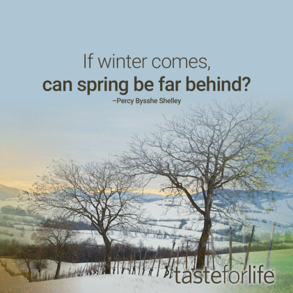 If Winter Comes | Taste For Life