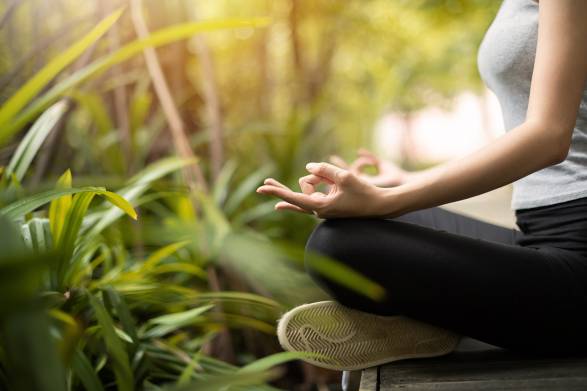 Mindfulness and Nature | Taste For Life