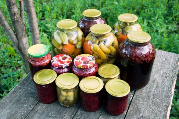 Canning: What You Need to Get Started | Taste For Life
