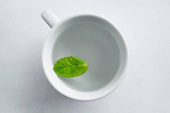 The Benefits of Mint | Taste For Life